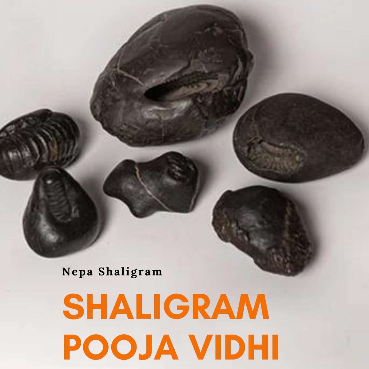 The Ultimate Beginners Guide to Worshipping Shaligram (Shaligram Pooja)