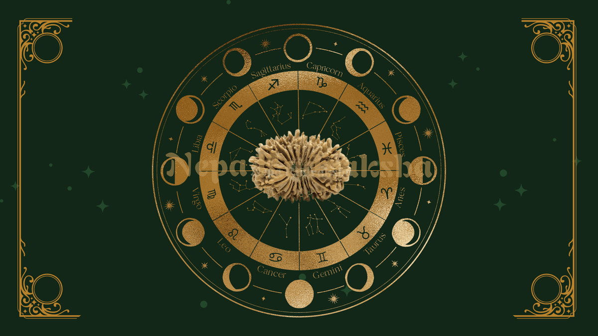 Rudraksha According to Your Rashi (Zodiac Sign)