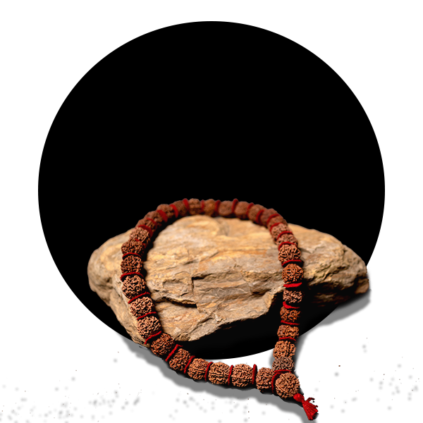 Buy Rudraksha Kantha Mala 33 Beads - Highest Quality Authentic Nepali ...