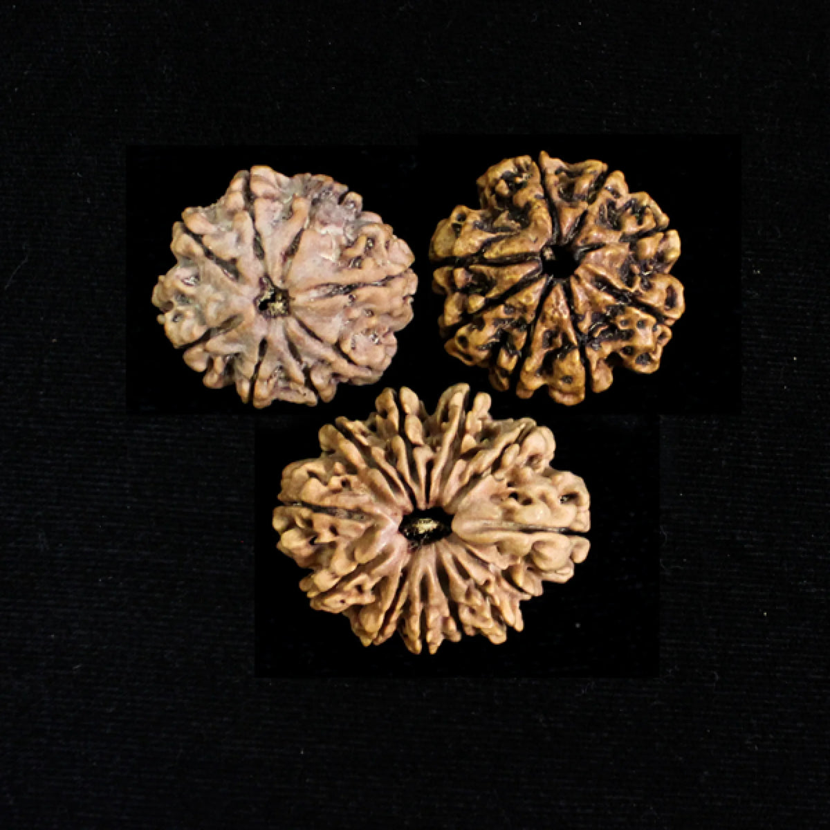 Buy Bhairava Protection Kavacham (Confidence and Courage) [X-Ray ...