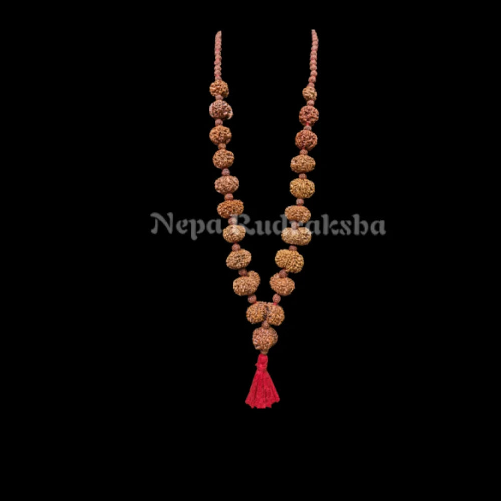 Buy Gayatri Siddha Mala [X-Ray Certified] - only at Nepa Rudraksha