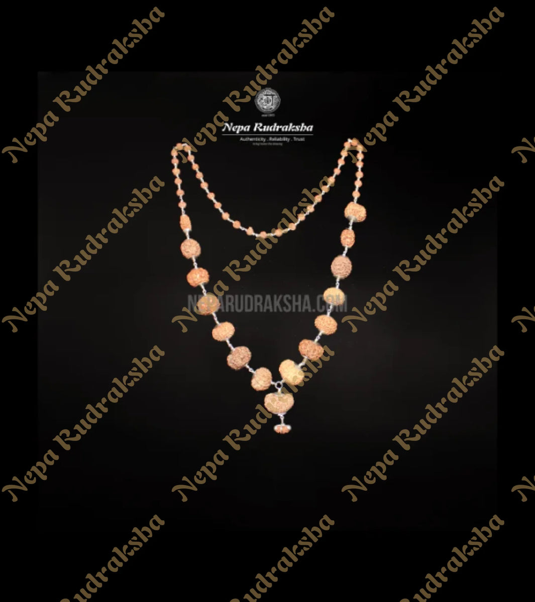 Buy Indonesian Siddha Mala [X-Ray Certified] - only at Nepa Rudraksha