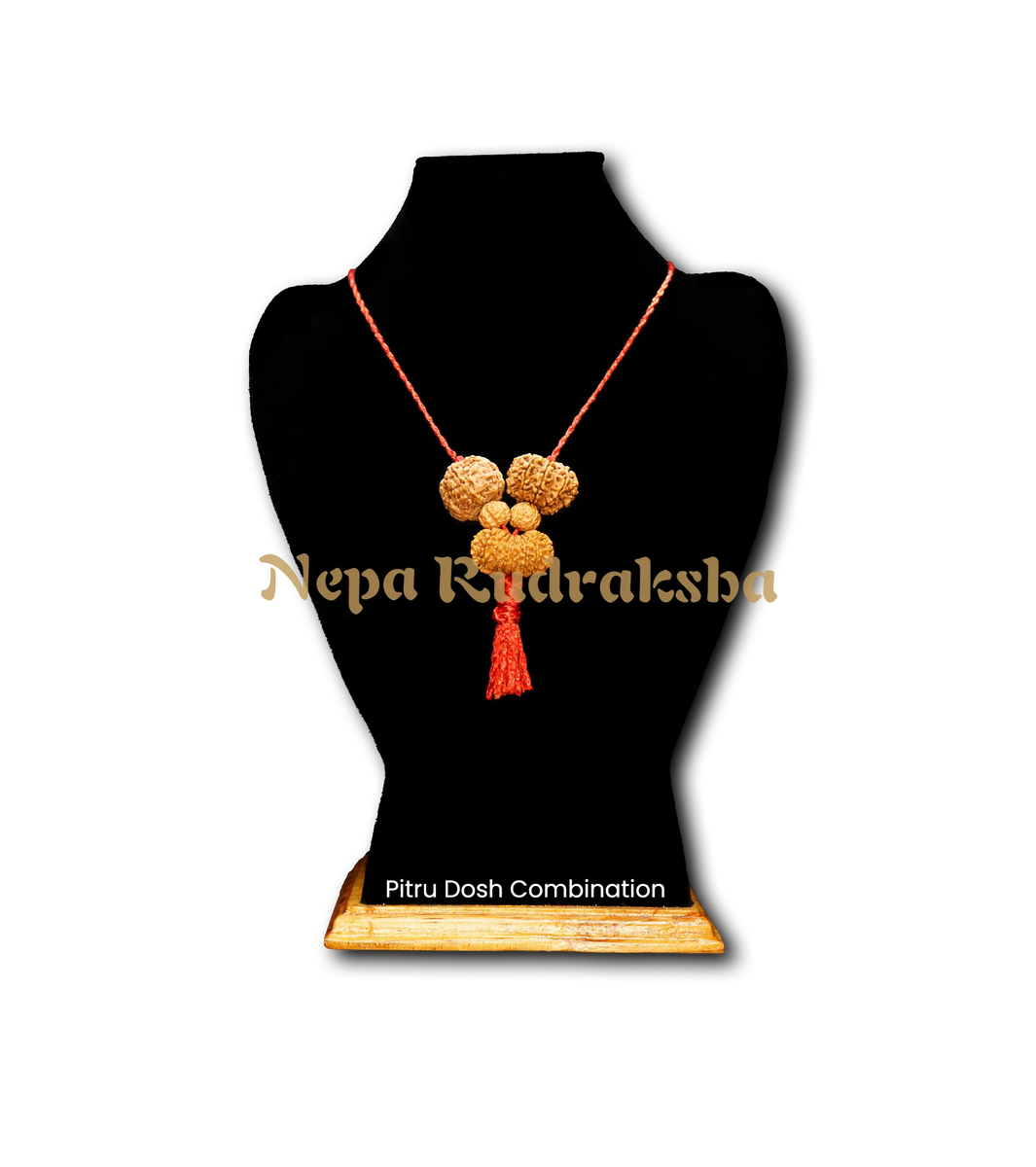 Buy Pitri Dosh Combination [X-Ray Certified] - only at Nepa Rudraksha