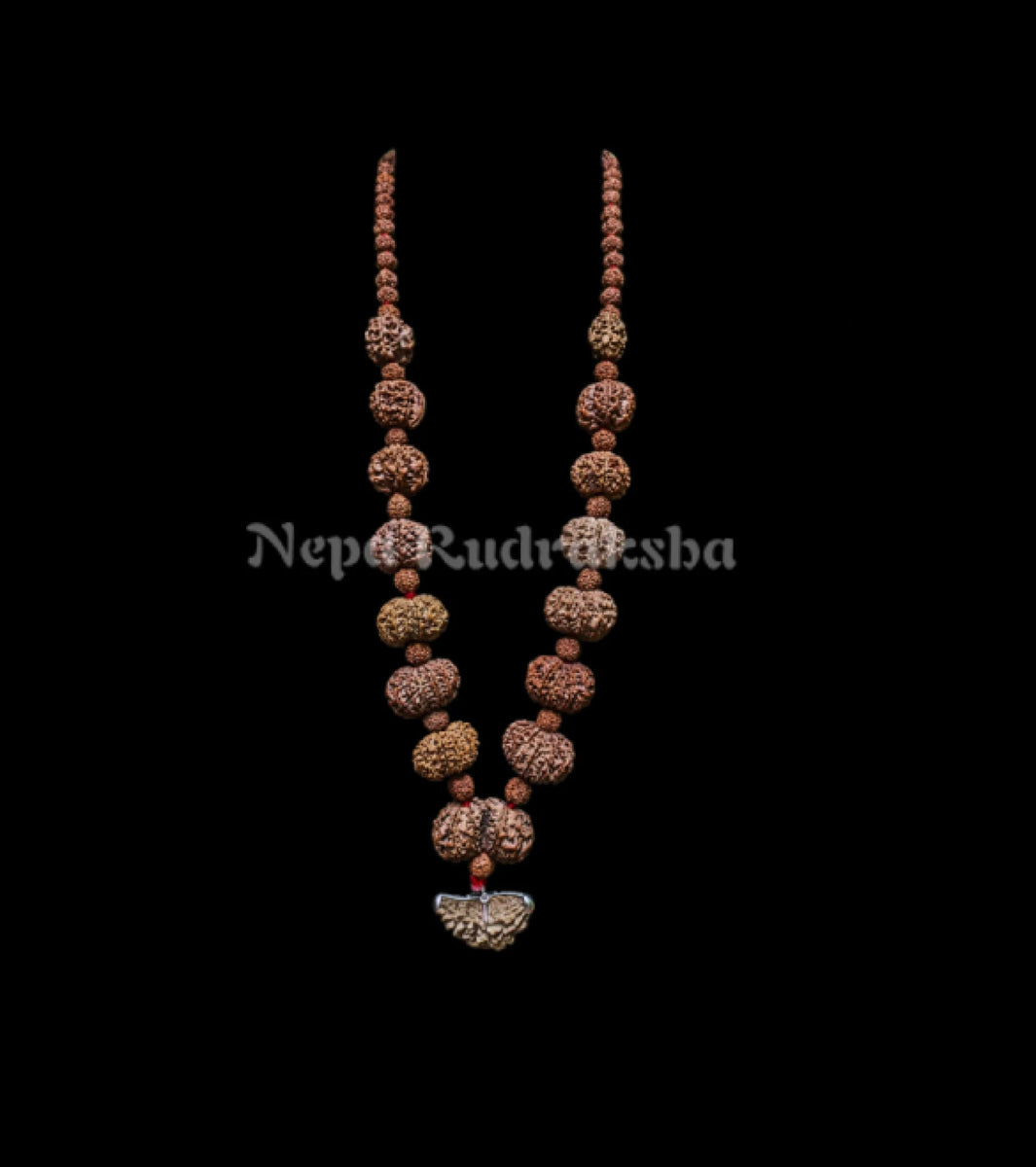 Siddha Mala (Economy) — Buy Authentic Nepal Rudraksha | Nepa Rudraksha