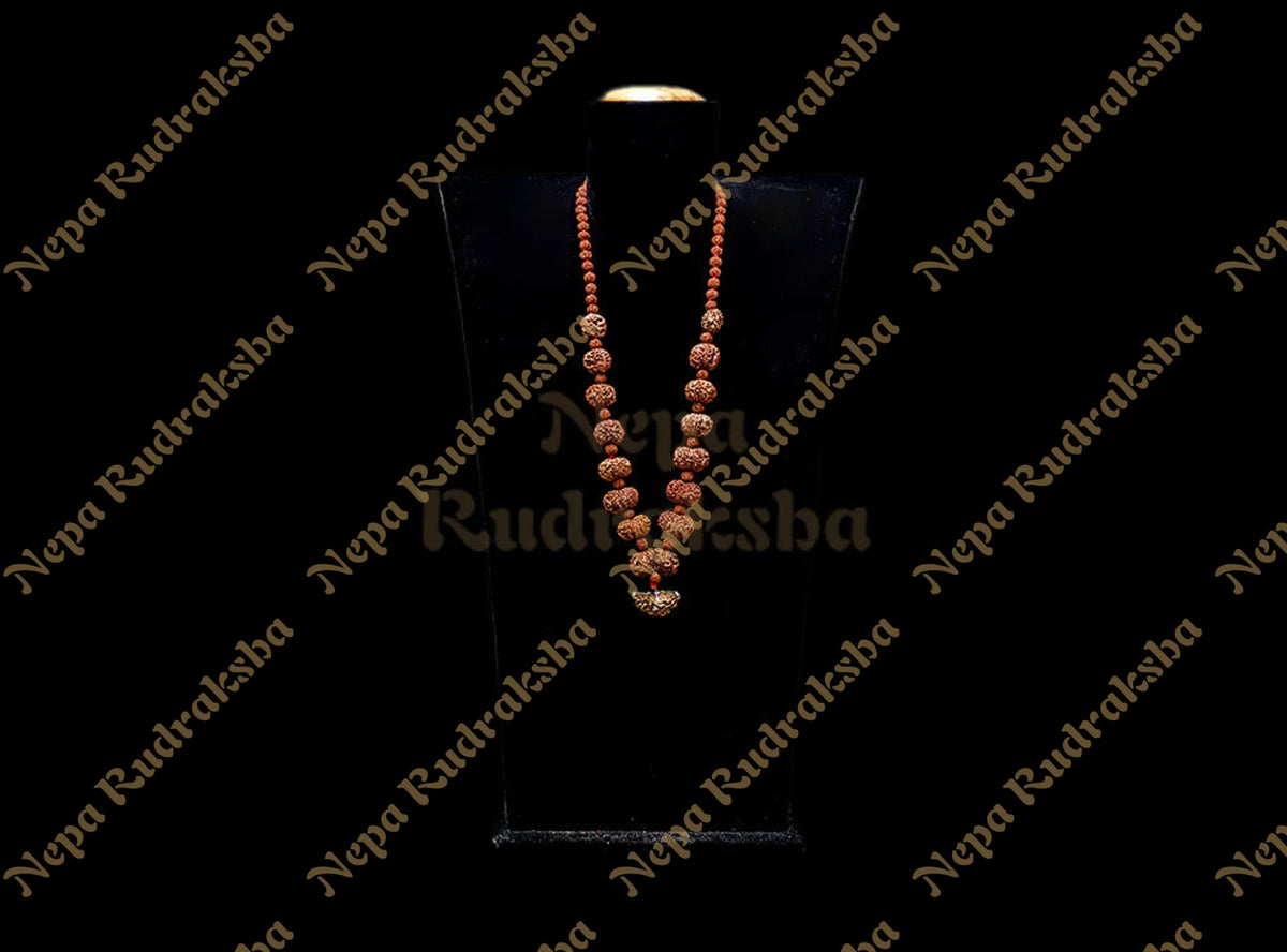Siddha Mala (Economy) — Buy Authentic Nepal Rudraksha | Nepa Rudraksha