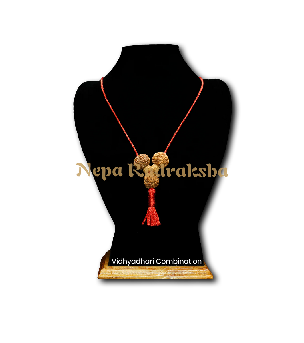 Buy Vidyadhari Saraswati Combination (Knowledge and Wisdom) [X-Ray ...