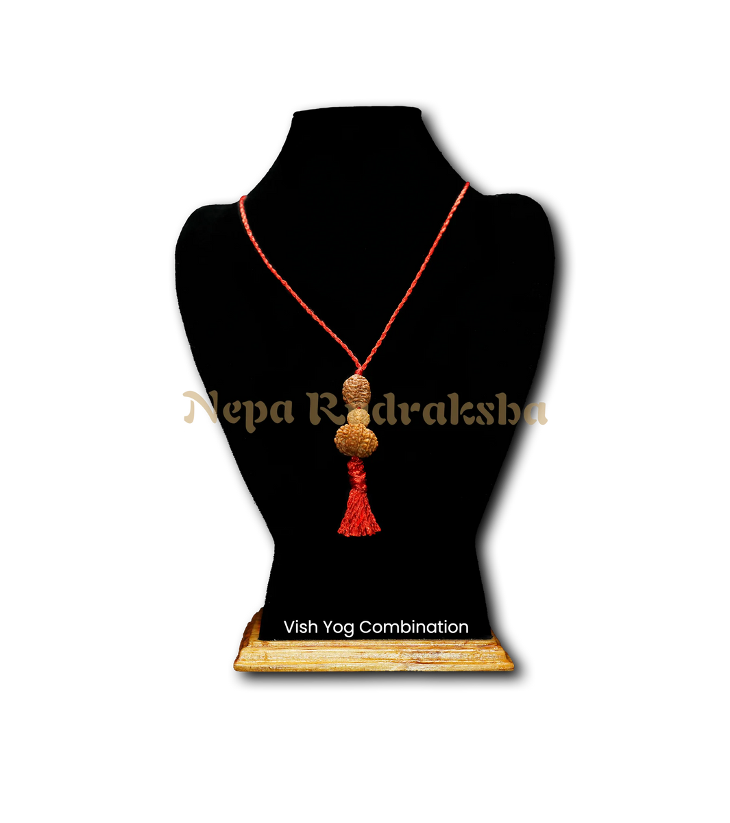 Buy Vish Yog Combination [X-Ray Certified] - only at Nepa Rudraksha
